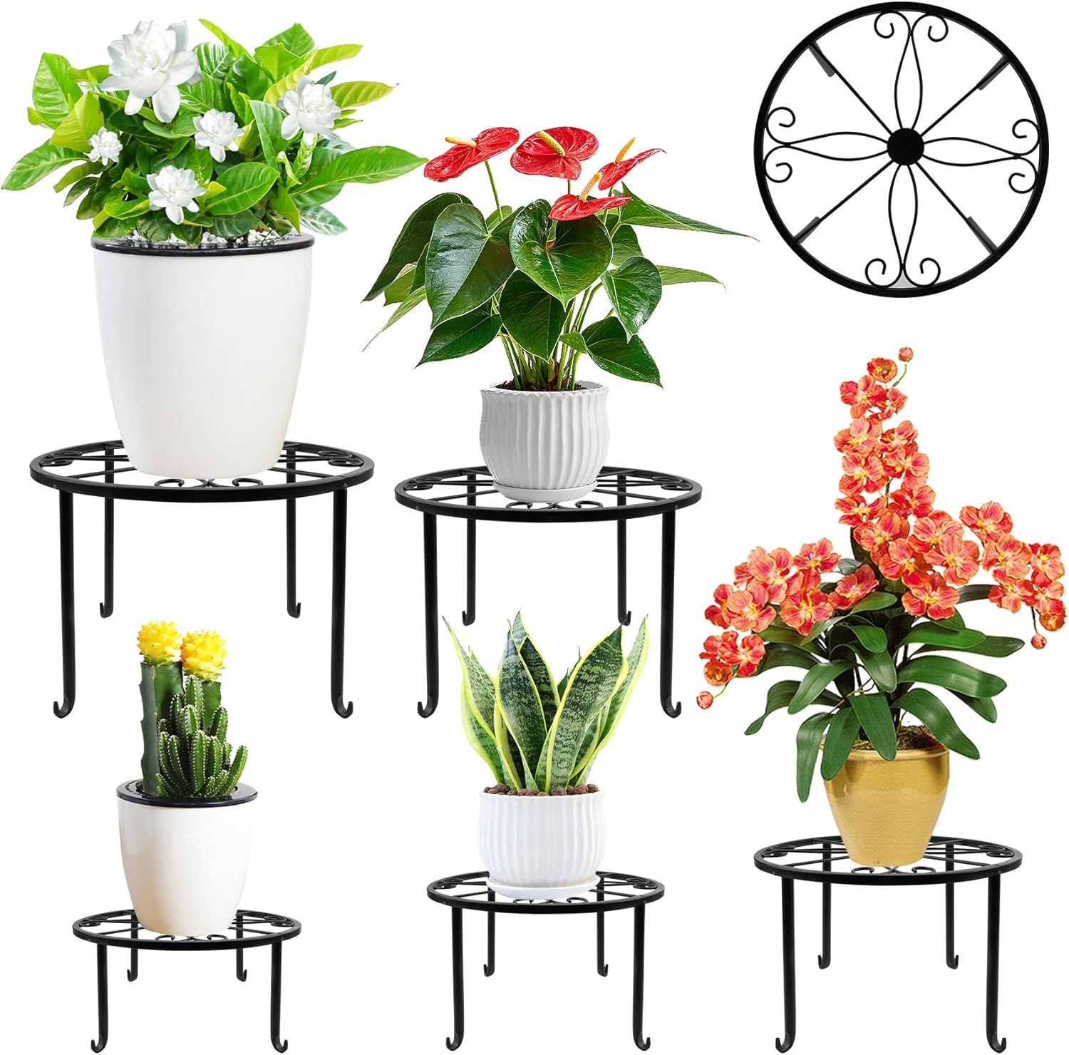 Amazon.com : 5 Pack Metal Plant Stand for Outdoor Indoor Clearance ...