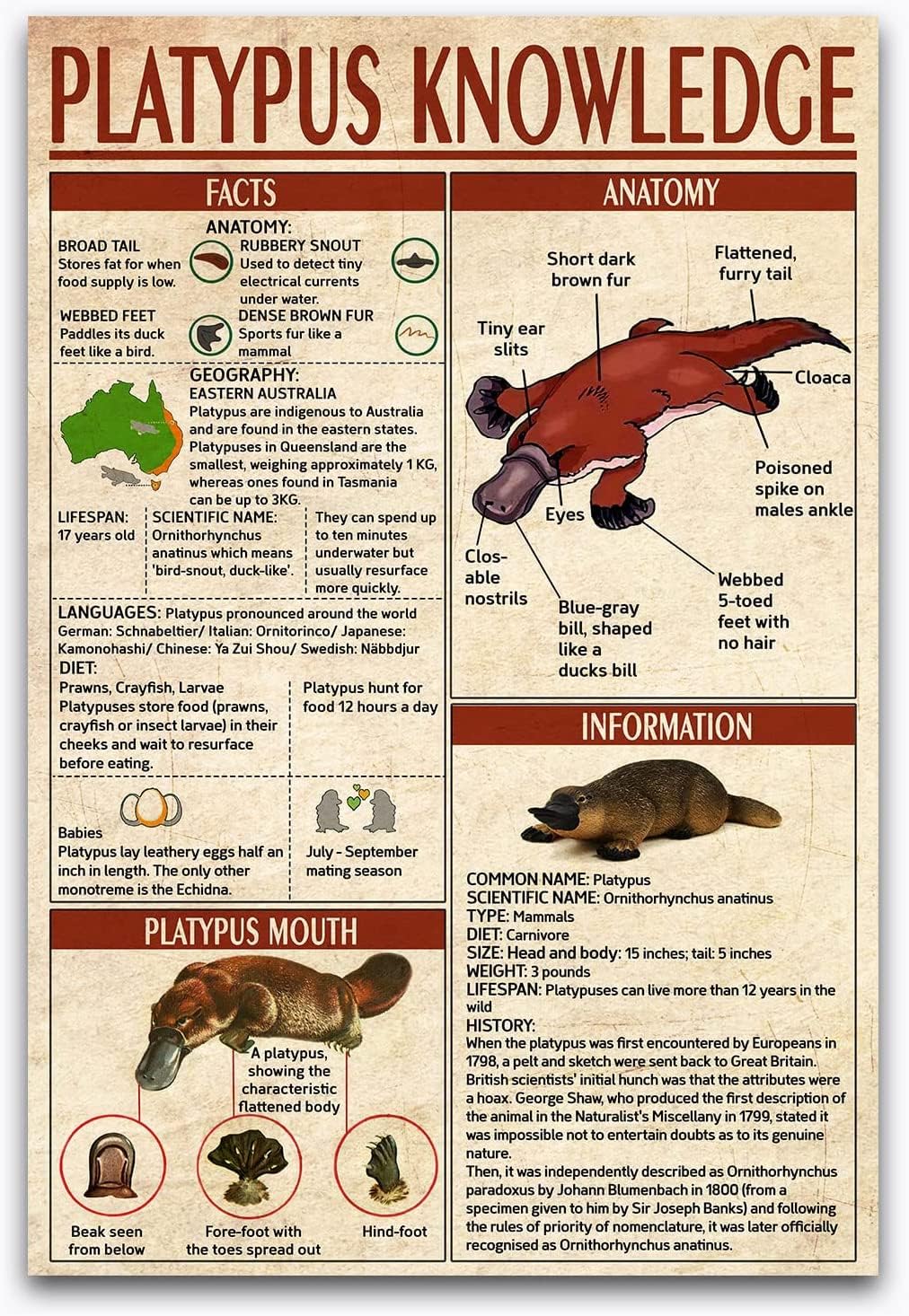 Amazon.com: Platypus Knowledge Metal Signs Information Science Tin ...