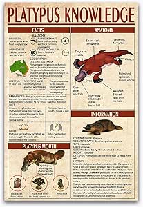 Amazon.com: Maikeway Vintage Tin Sign Platypus Knowledge Metal Signs Classroom Home Decor ...