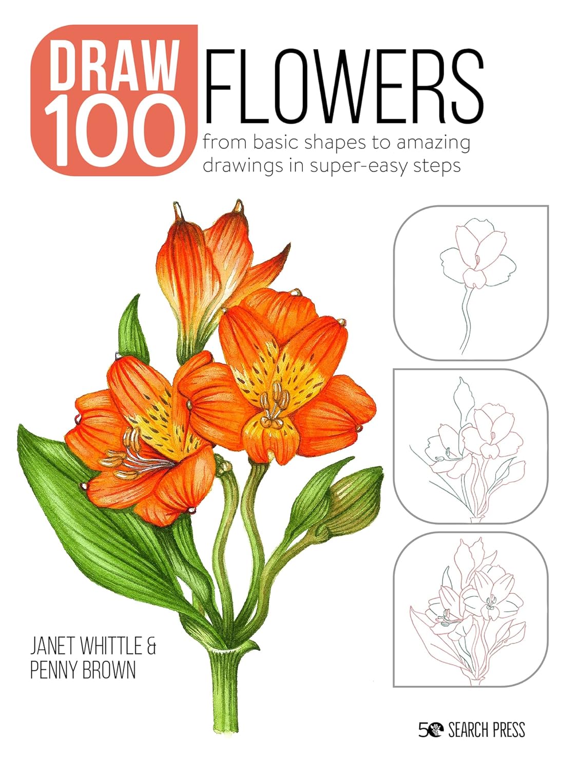 Draw 100: Flowers: From basic shapes to amazing drawings in super-easy ...
