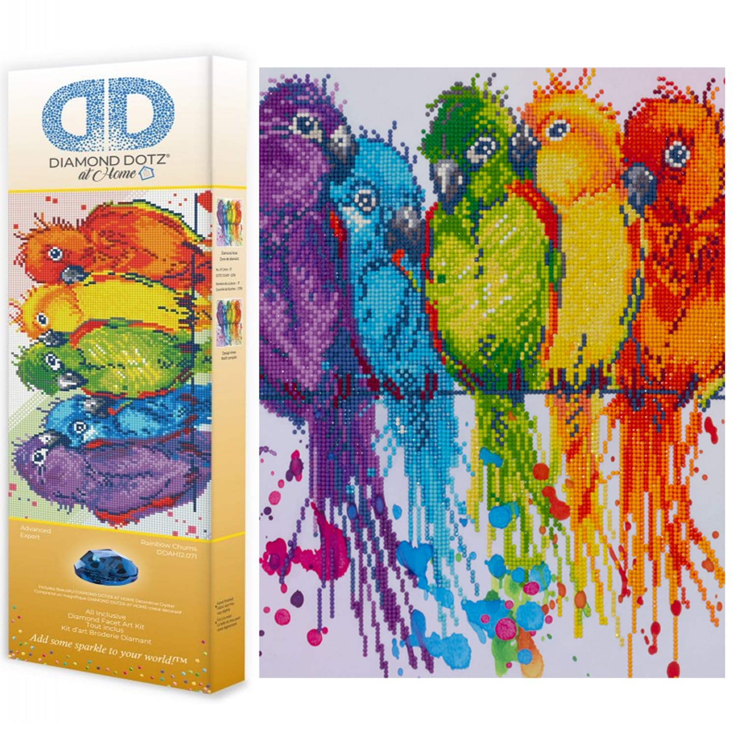 Amazon.com: DIAMOND DOTZ ® at Home - Rainbow Chums, Partial Drill, Round Dotz, Diamond Painting ...