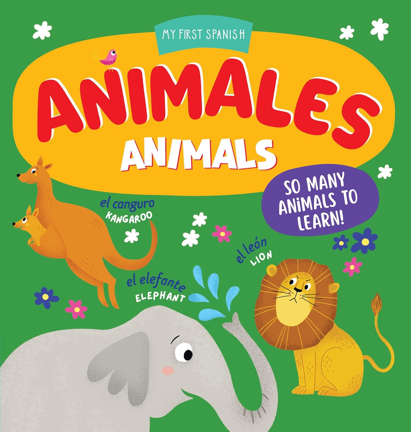 Amazon.com: Animales / Animals: So Many Animals to Learn! (My First ...