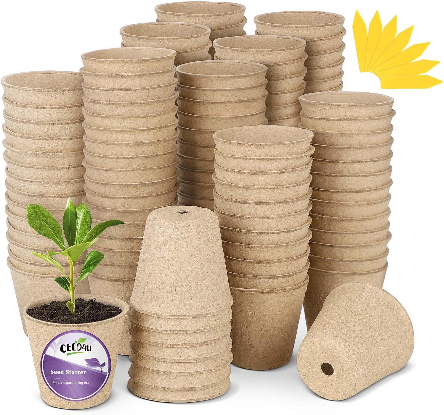 Amazon.com: CEED4U 120 Packs 2.36 Inches Peat Pots, Seed Starter Pots ...