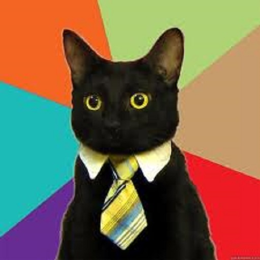 ChatCat Multilingual IM Chat - App on the Amazon Appstore