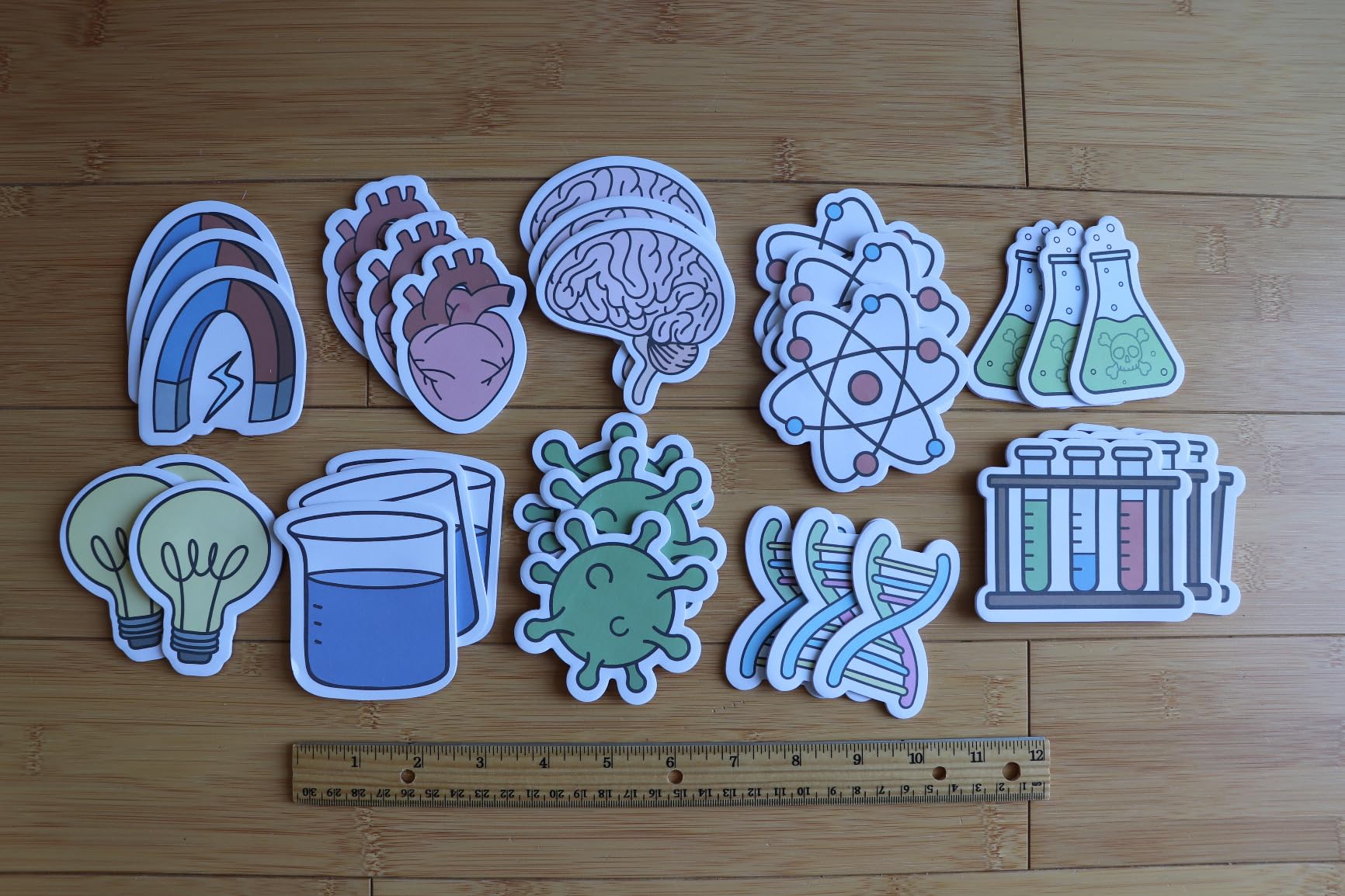 Amazon.com : ANGOLIO Funny Science Sticky Notes - 30P Cute Note Pads ...