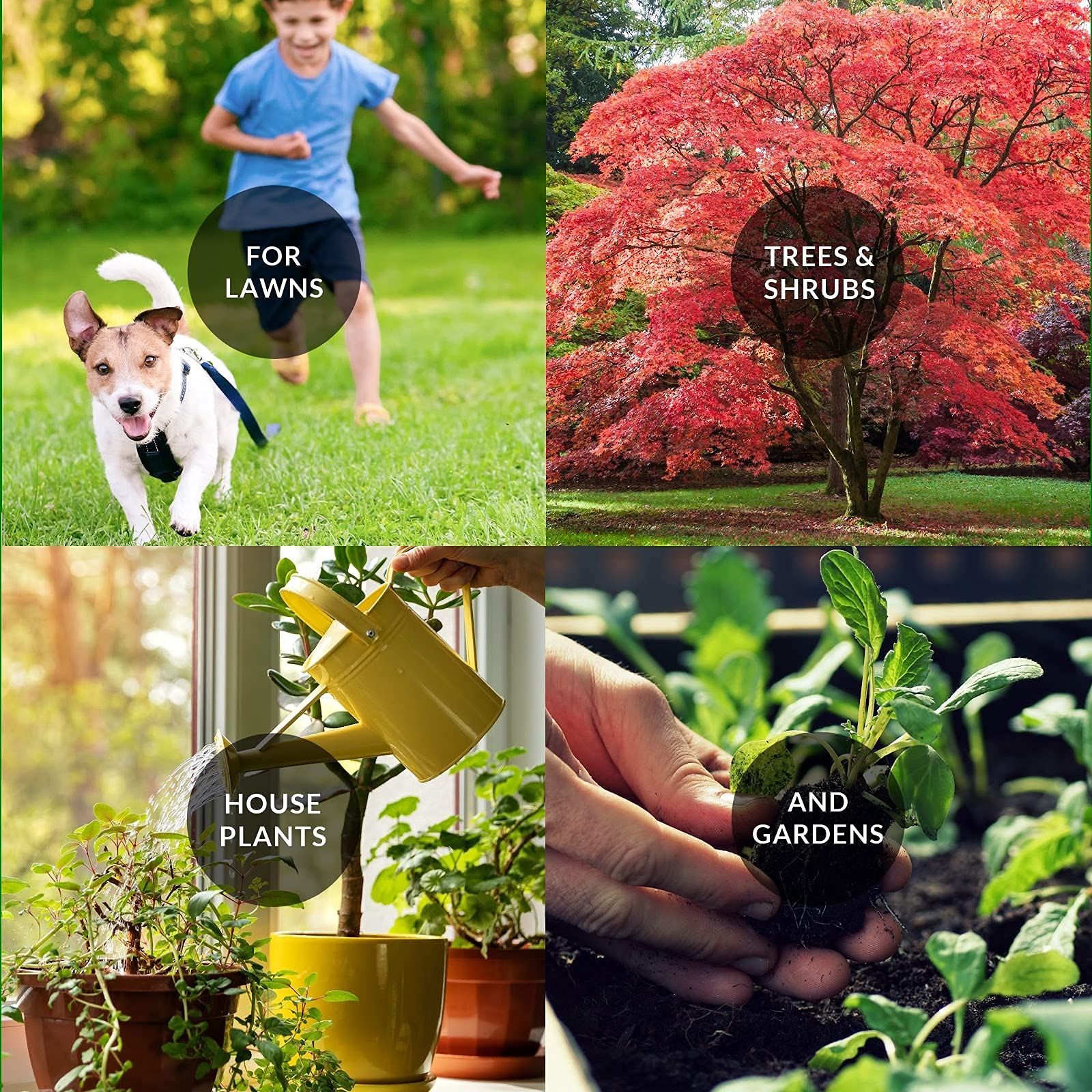 Buy Nature’s Lawn & Garden - Aerify Plus - Liquid Lawn Aerator, Soil ...