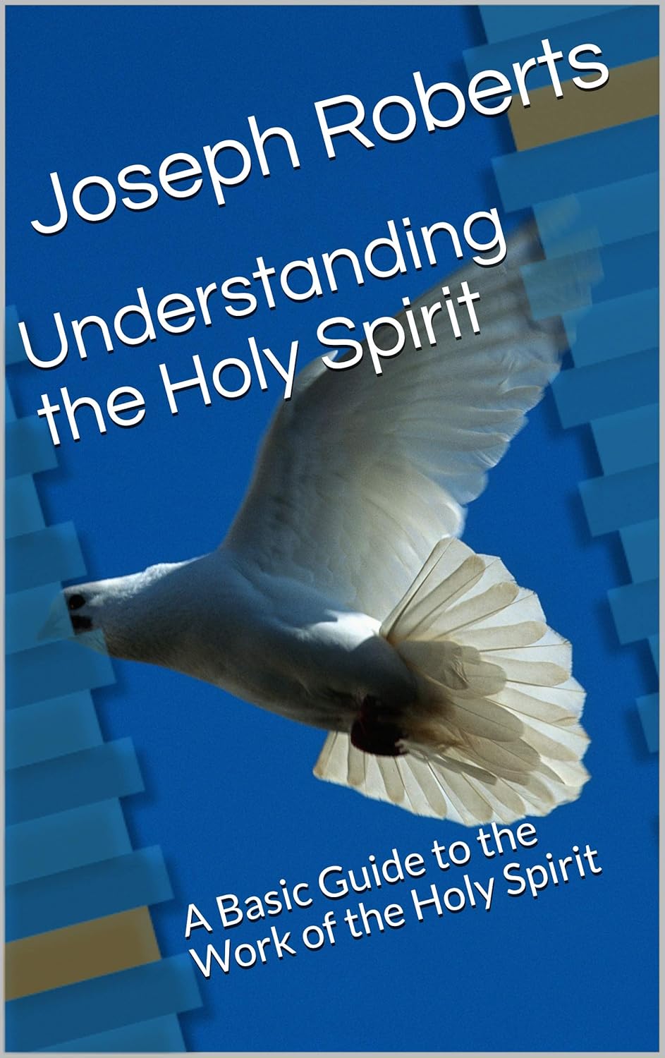 Understanding the Holy Spirit: A Basic Guide to the Work of the Holy ...