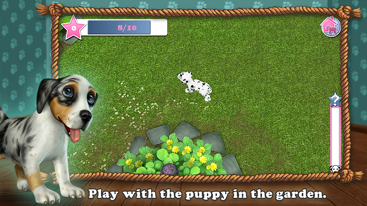 DogWorld Premium - App on Amazon Appstore