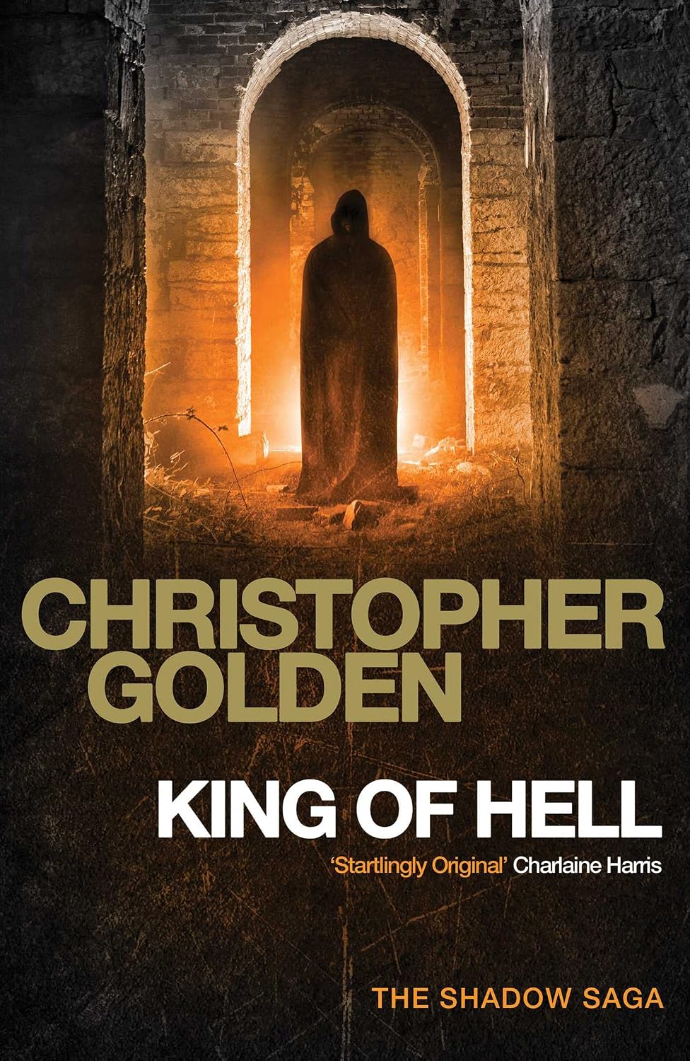 King of Hell (Peter Octavian Novel): Christopher Golden: 9780857209672 ...
