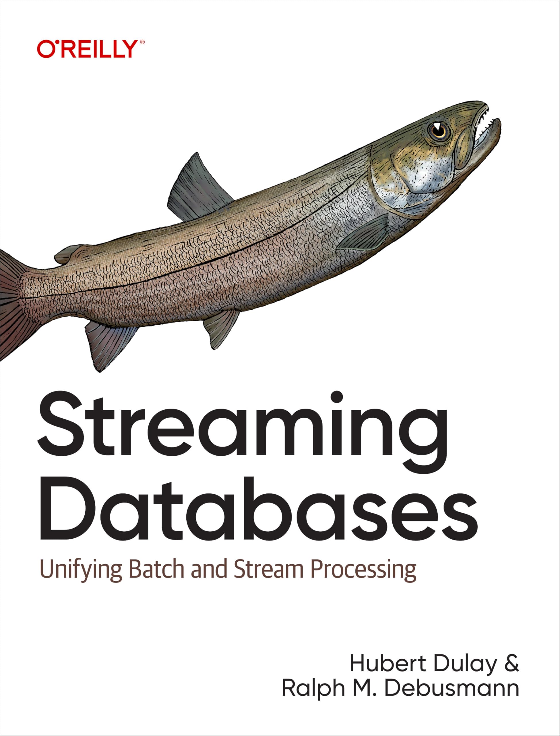 Amazon.com: Streaming Databases: Unifying Batch and Stream Processing: 9781098154837: Dulay ...
