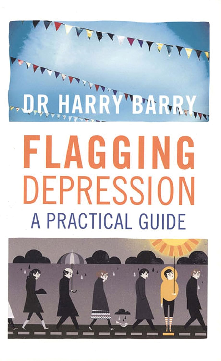 Flagging Depression: A Practical Guide: Barry, Harry: 9781907593413 ...