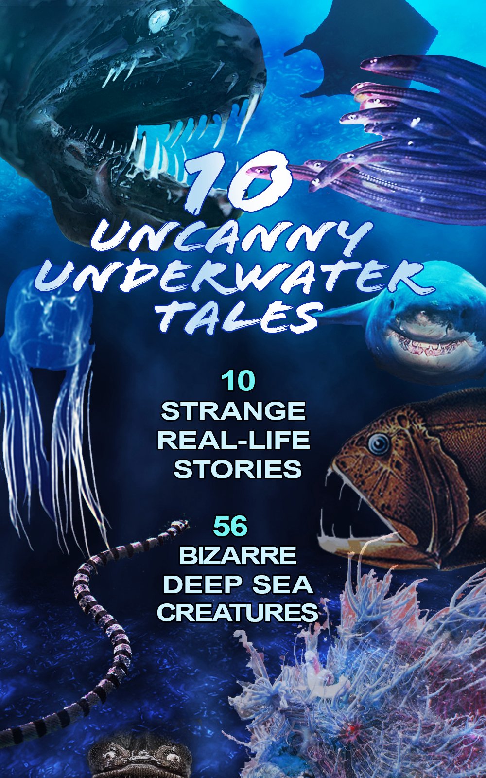10 Uncanny Underwater Tales 10 Types Of Real Life Ocean | Desertcart INDIA