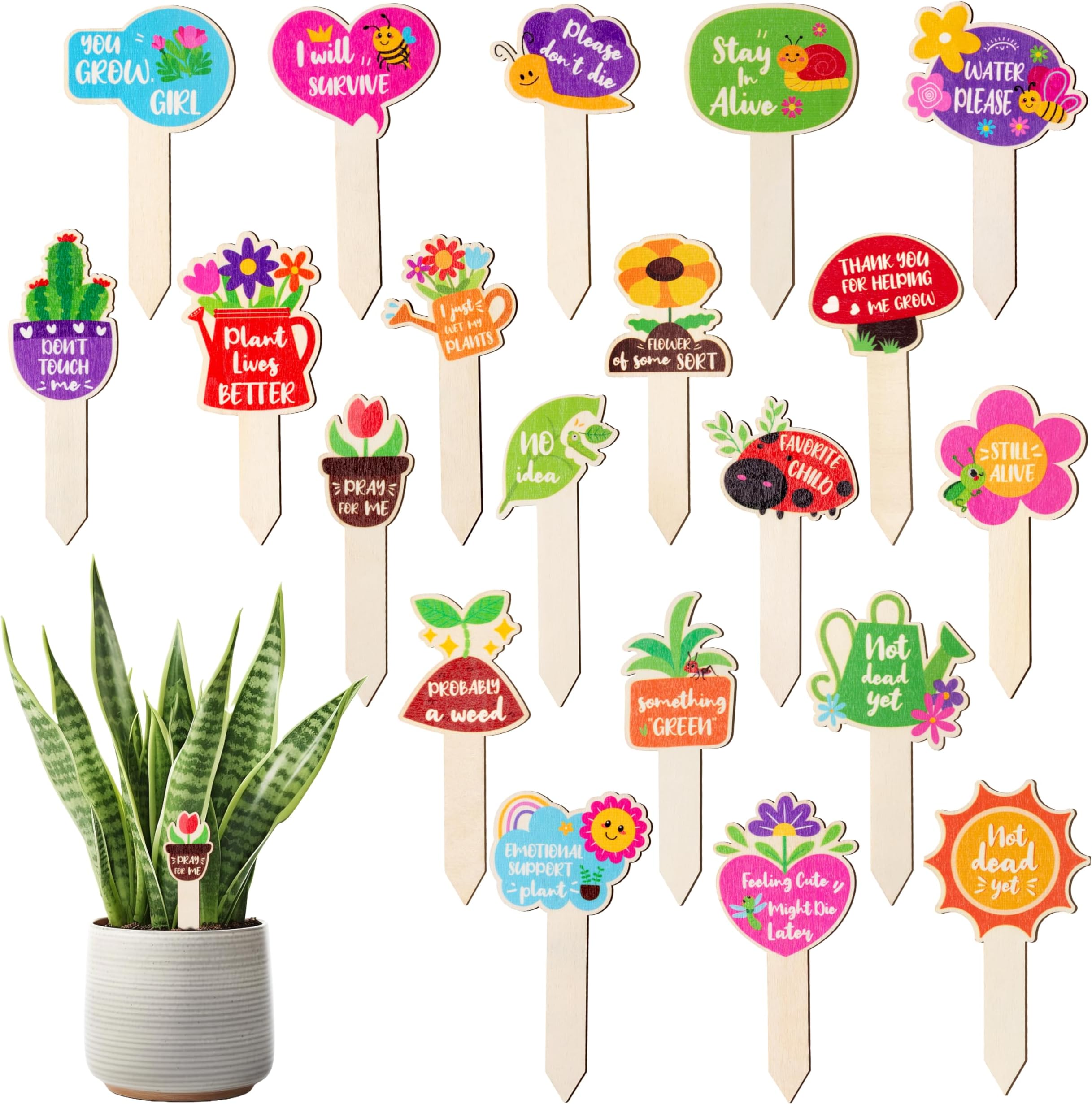 Amazon.com: 24 PCS Wooden Funny Plant Labels, Funny Plant Markers ...