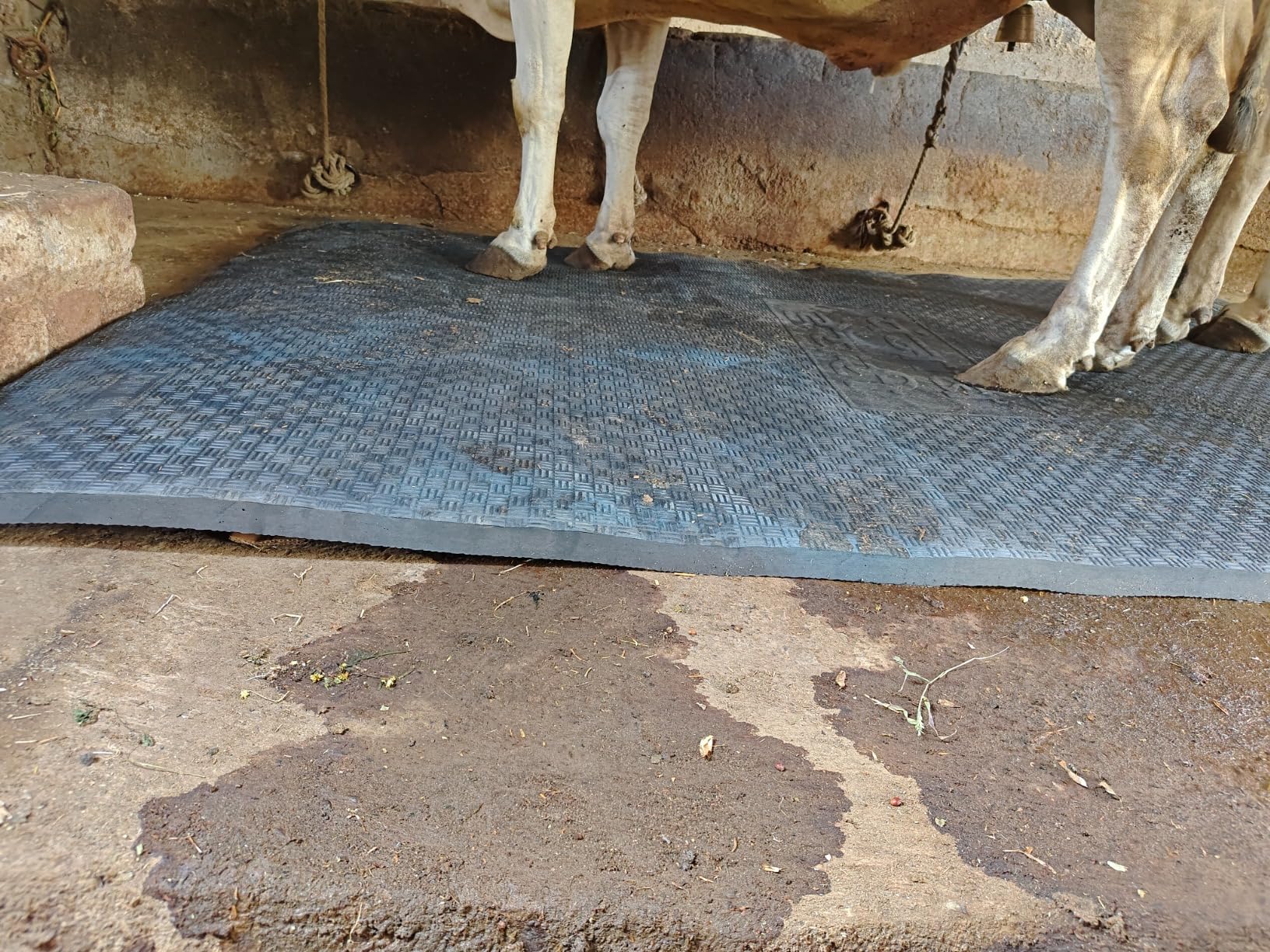 Agronova Premium Waterproof Rubber Mat for Cow, Buffalo, and Horse ...