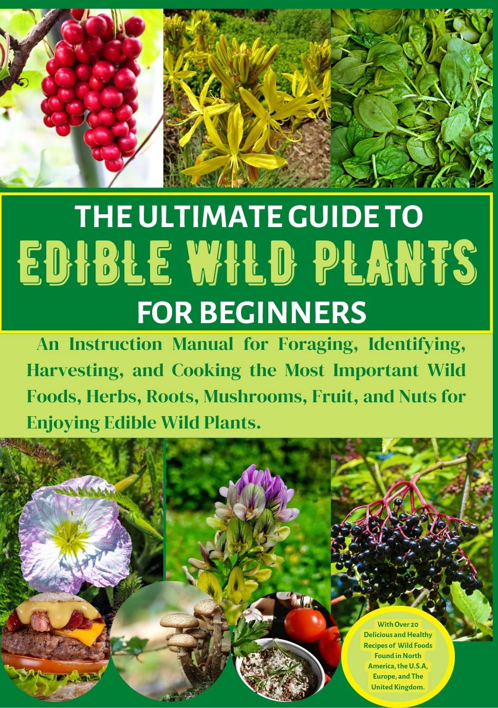 Amazon | "THE ULTIMATE GUIDE TO EDIBLE WILD PLANTS FOR BEGINNERS": An ...