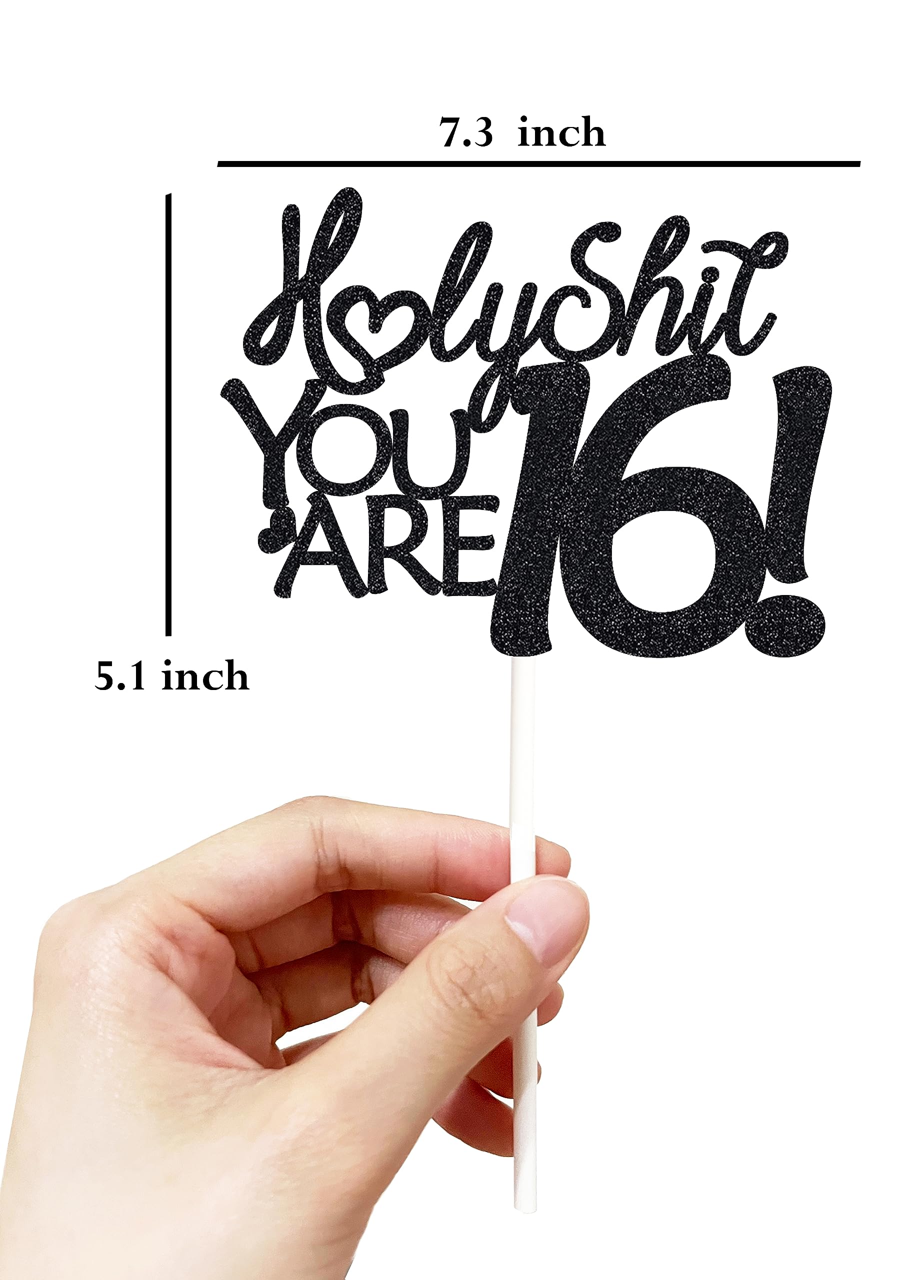Snapklik.com : Happy 16th Birthday Cake Topper Funny 16th Birthday ...