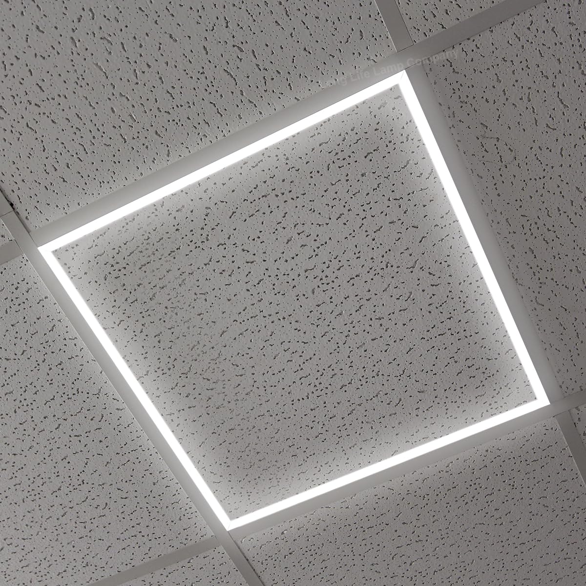 Lights For Suspended Ceiling Grid Maxi Mover Show Van Suspended