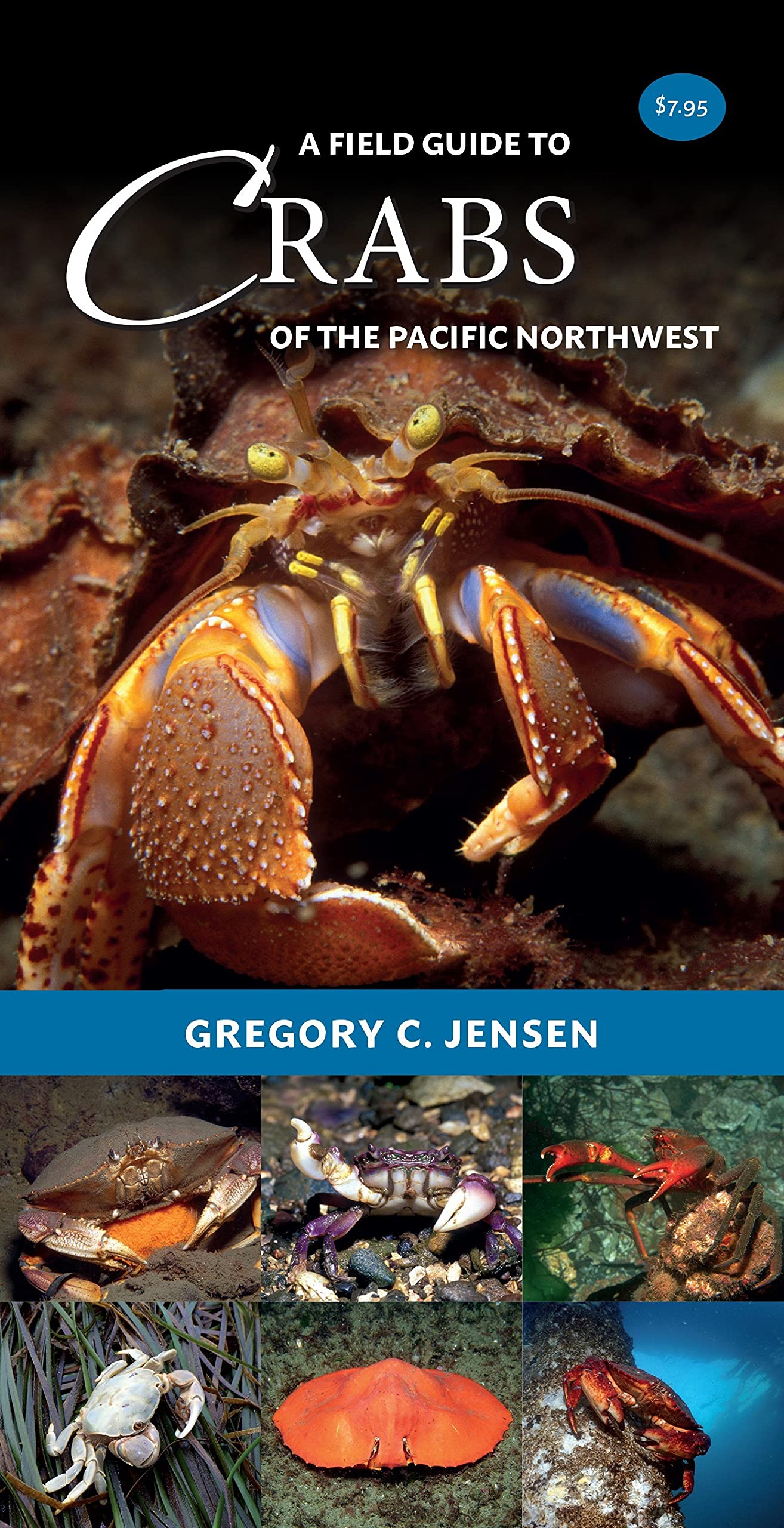 Amazon.com: A Field Guide to Crabs of the Pacific Northwest ...
