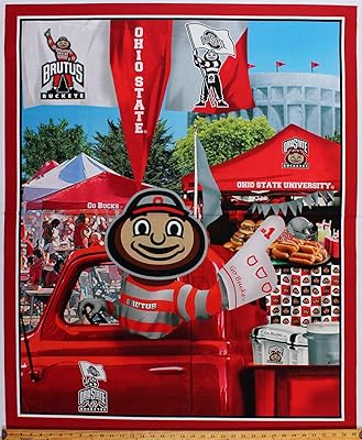 Amazon.com: SYKEL ENTERPISES University of Texas Cotton Fabric Panel ...