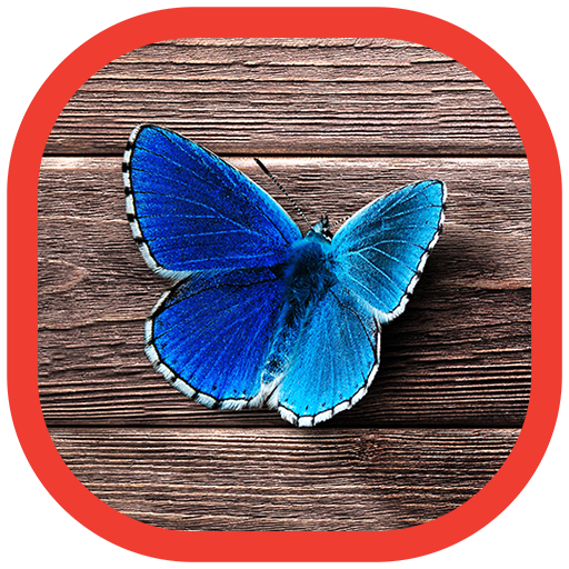 Sfondi Ultra HD: app su Amazon Appstore