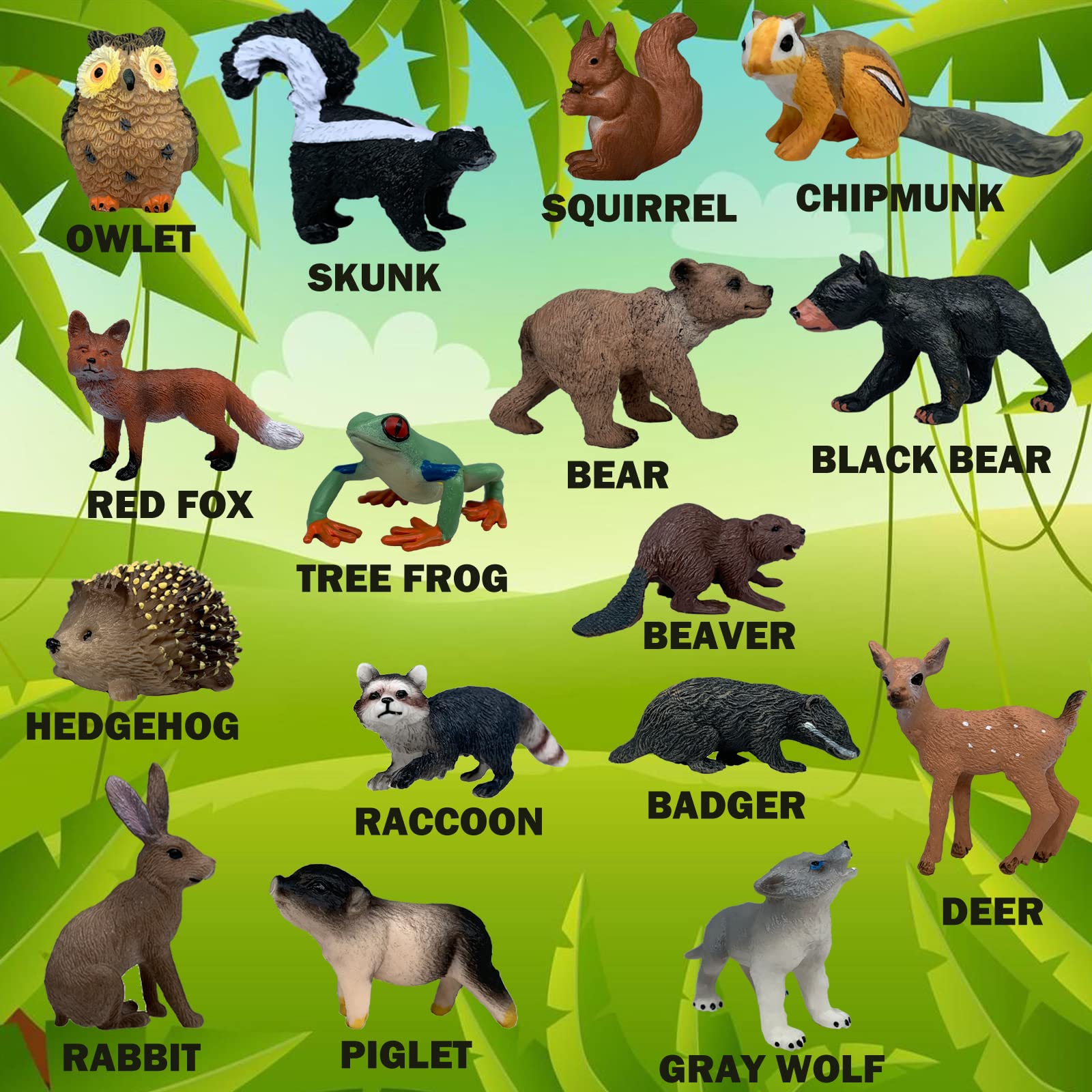 Forest Animals Images With Names