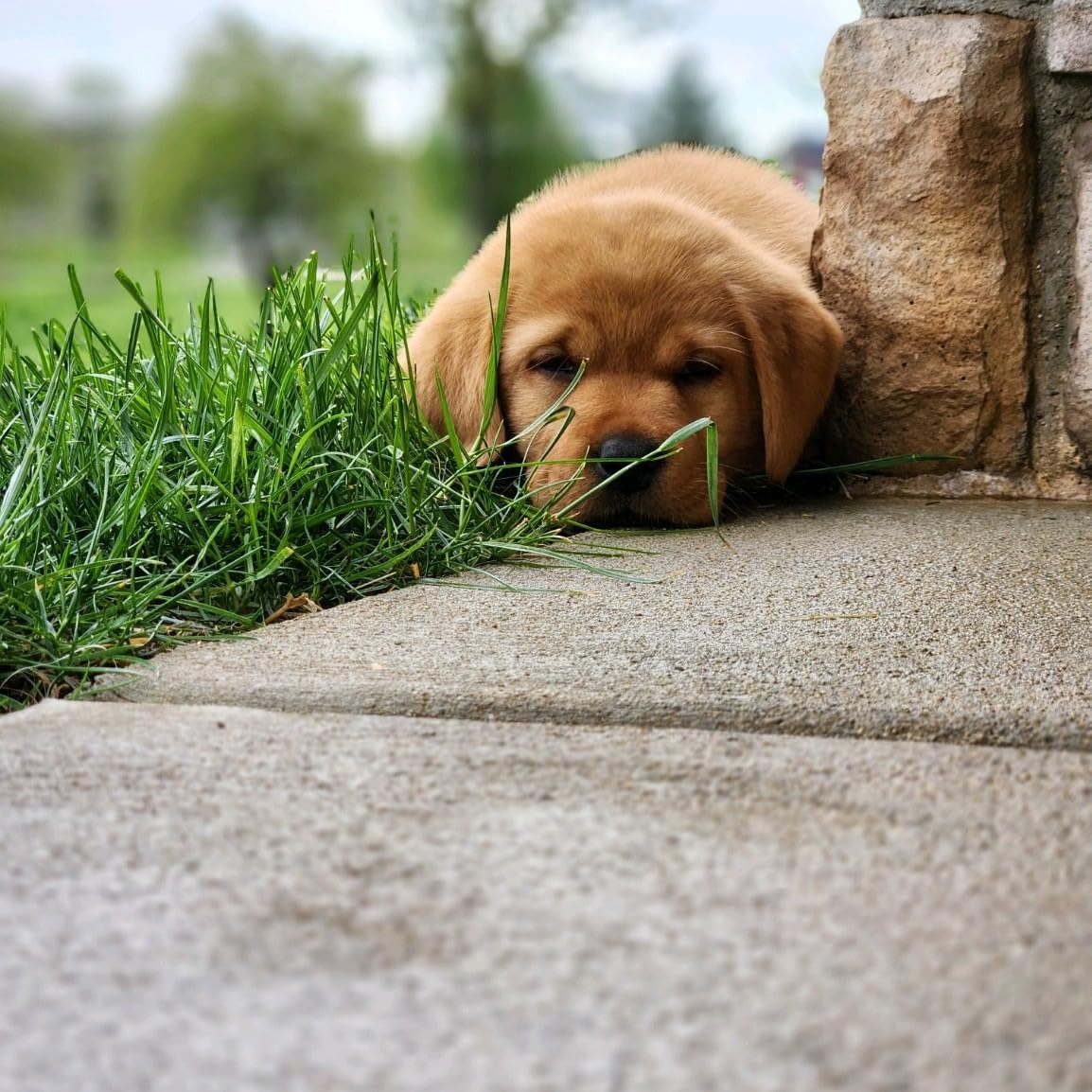 Lila M's Amazon Page