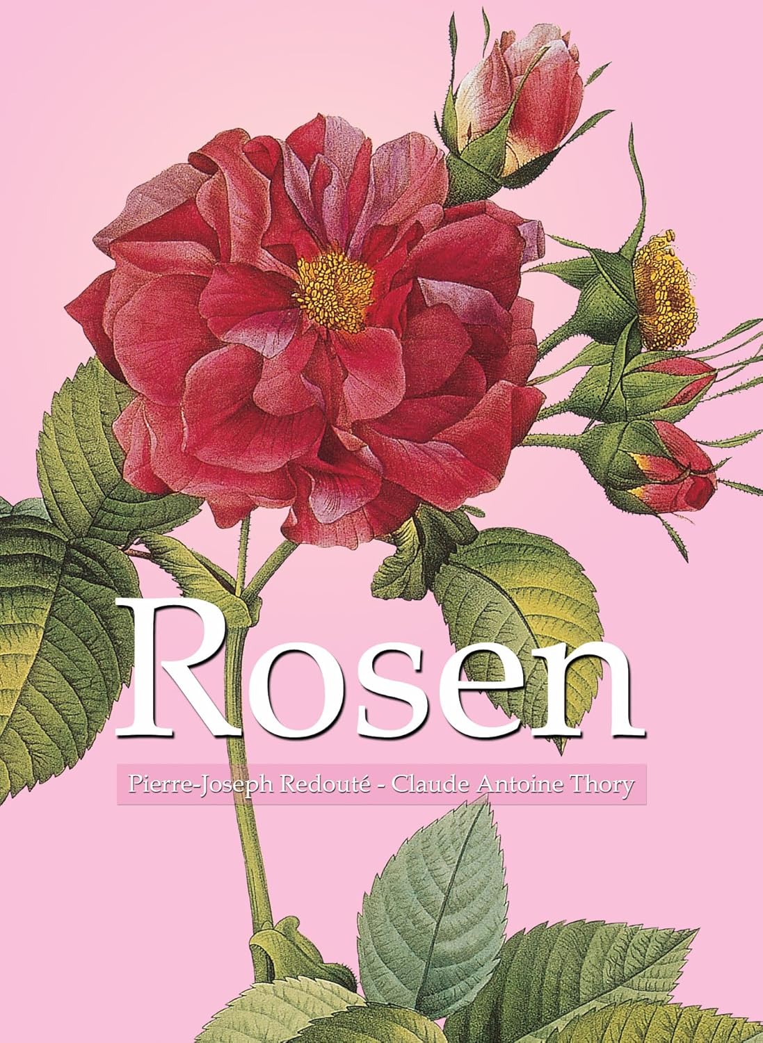 Amazon.com: Rosen (German Edition) eBook : Redouté, Pierre-Joseph ...