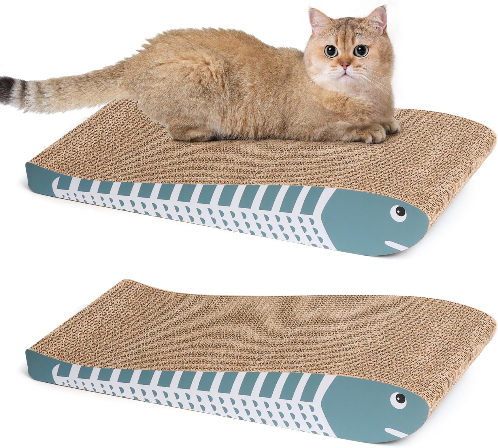 Amazon.com : Cat Scratcher Board 2 in 1, Scratching pad for Indoor Cats ...