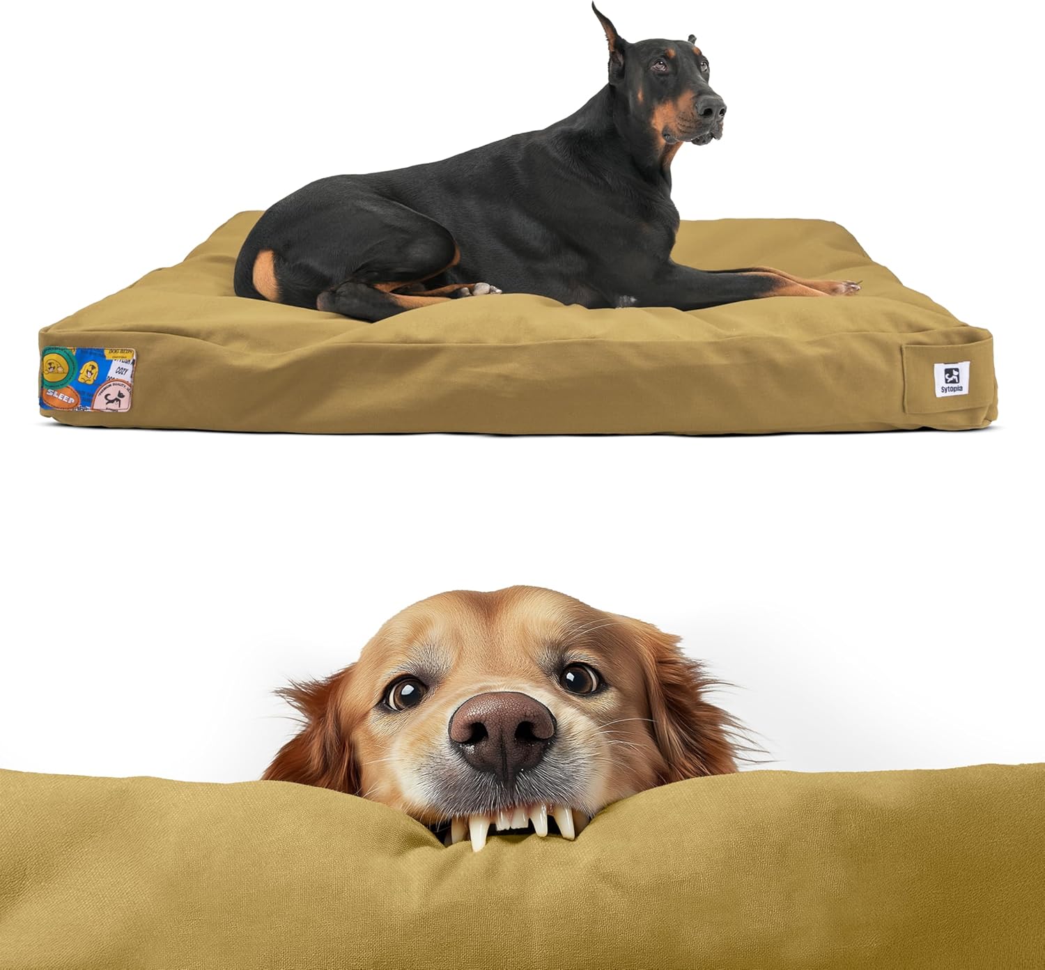 Amazon.com : Waterproof Canvas Indestructible Dog Bed with Chew-Proof ...