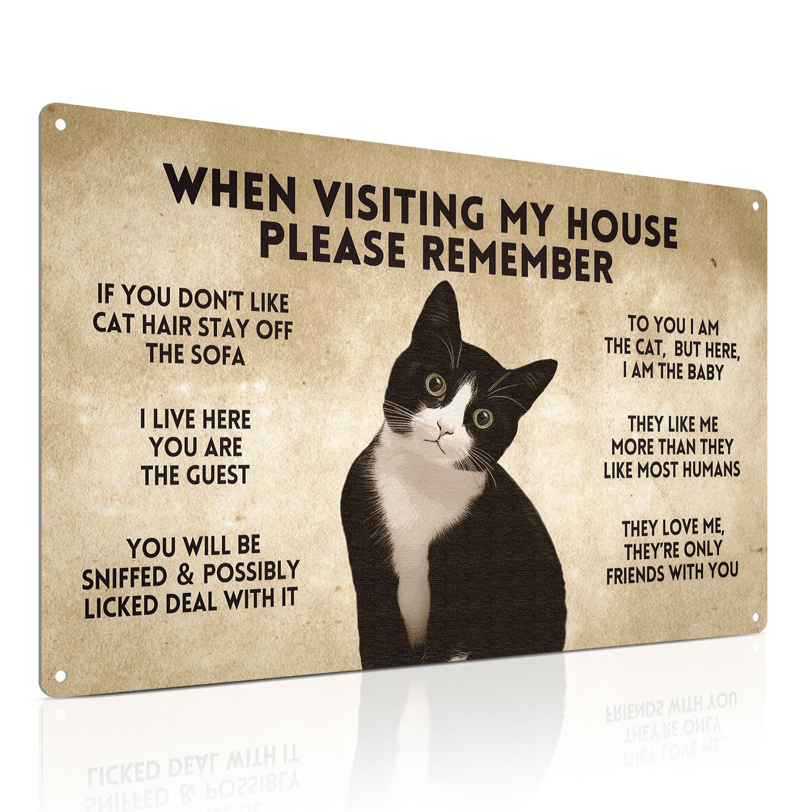 Amazon.com: ALKB Gift for Cat Lovers Funny Tuxedo Cat Rules Metal Signs ...