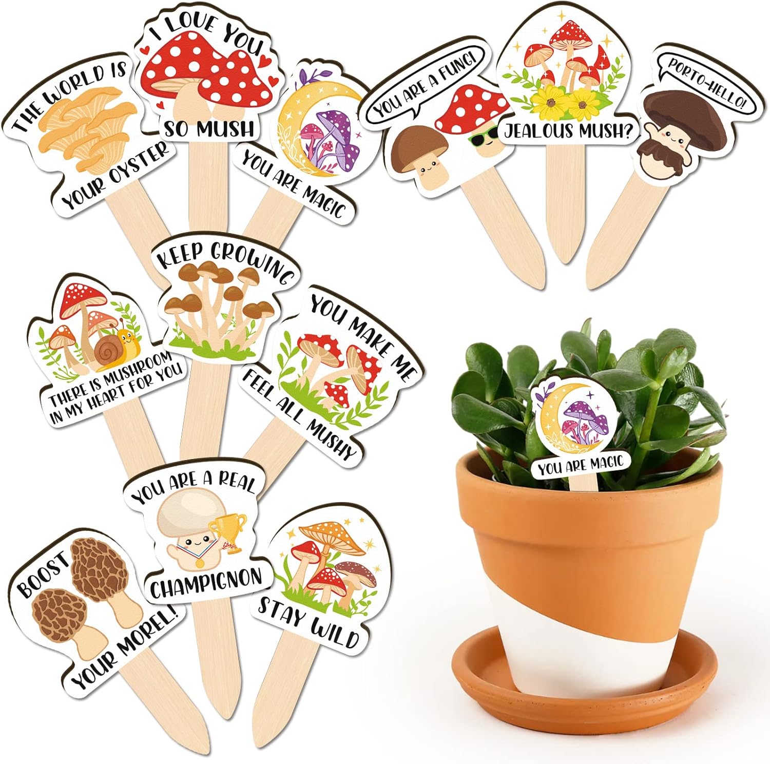 Amazon.com: Funny Plant Labels Markers for Succulent Wooden Flowers ...