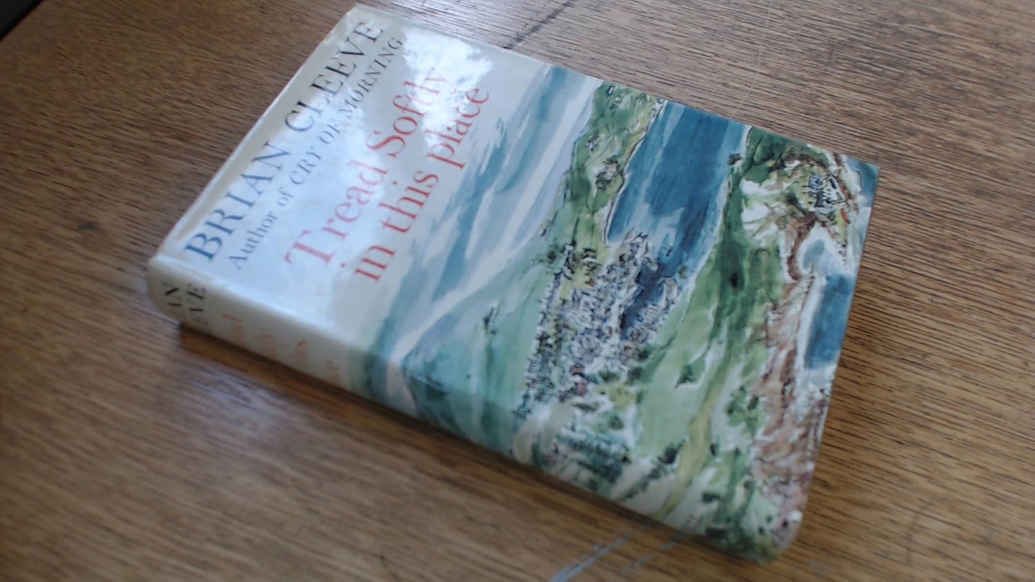Tread softly in this place: Cleeve, Brian Talbot: 9780304290901: Amazon ...