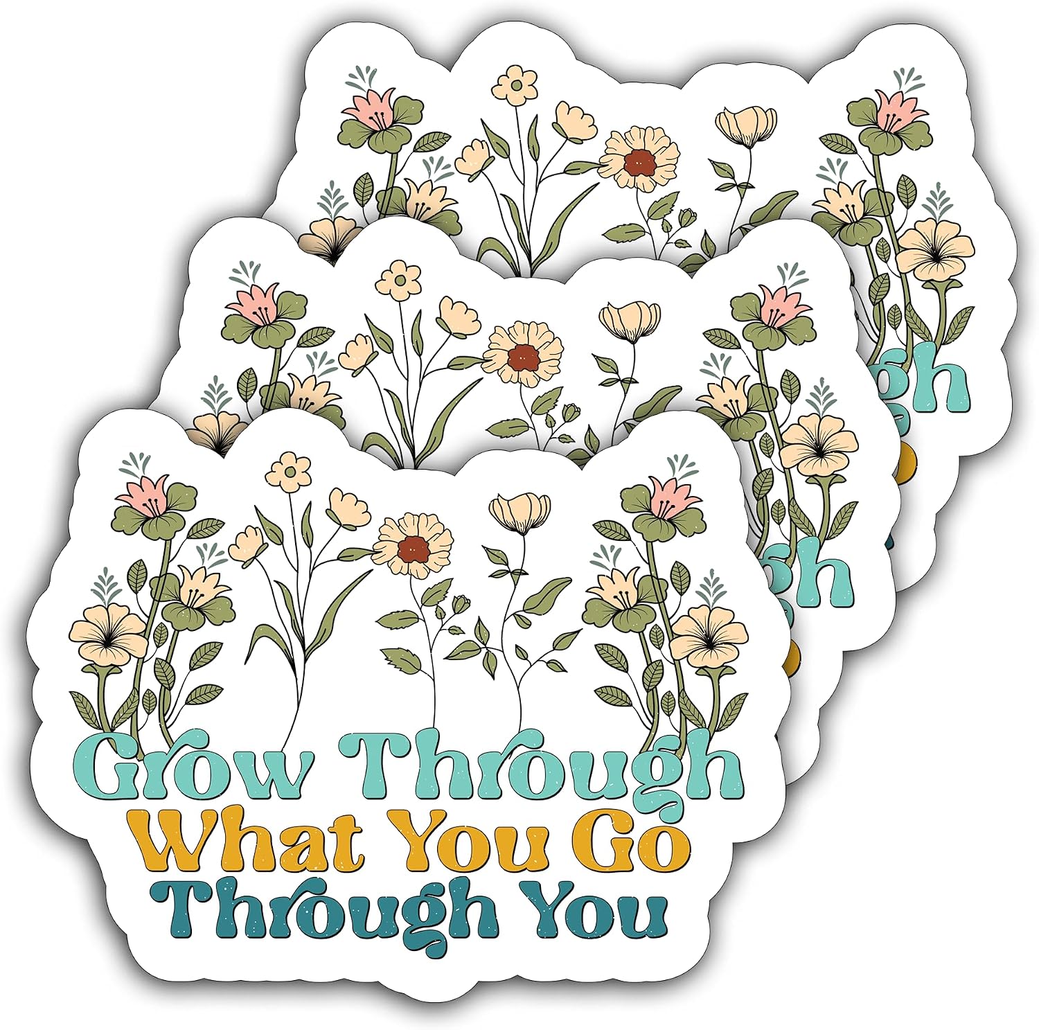 Amazon.com: (3Pcs) Grow Through What You Go Through You Sticker Decal ...