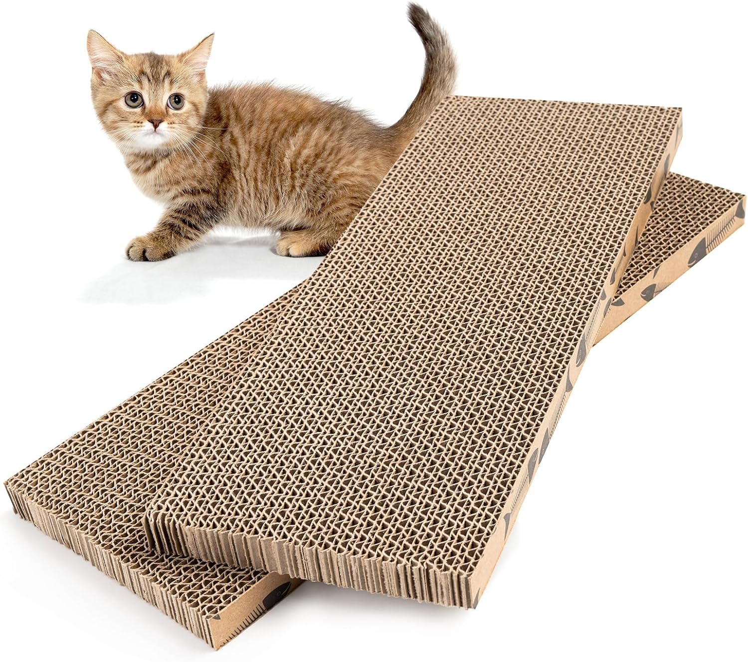 Amazon.com : Roadtofree Mini Cat Scratching Board Small Cat Scratcher ...