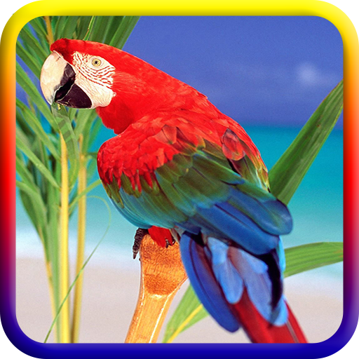 Wallpaper Of Parrots - App on Amazon Appstore