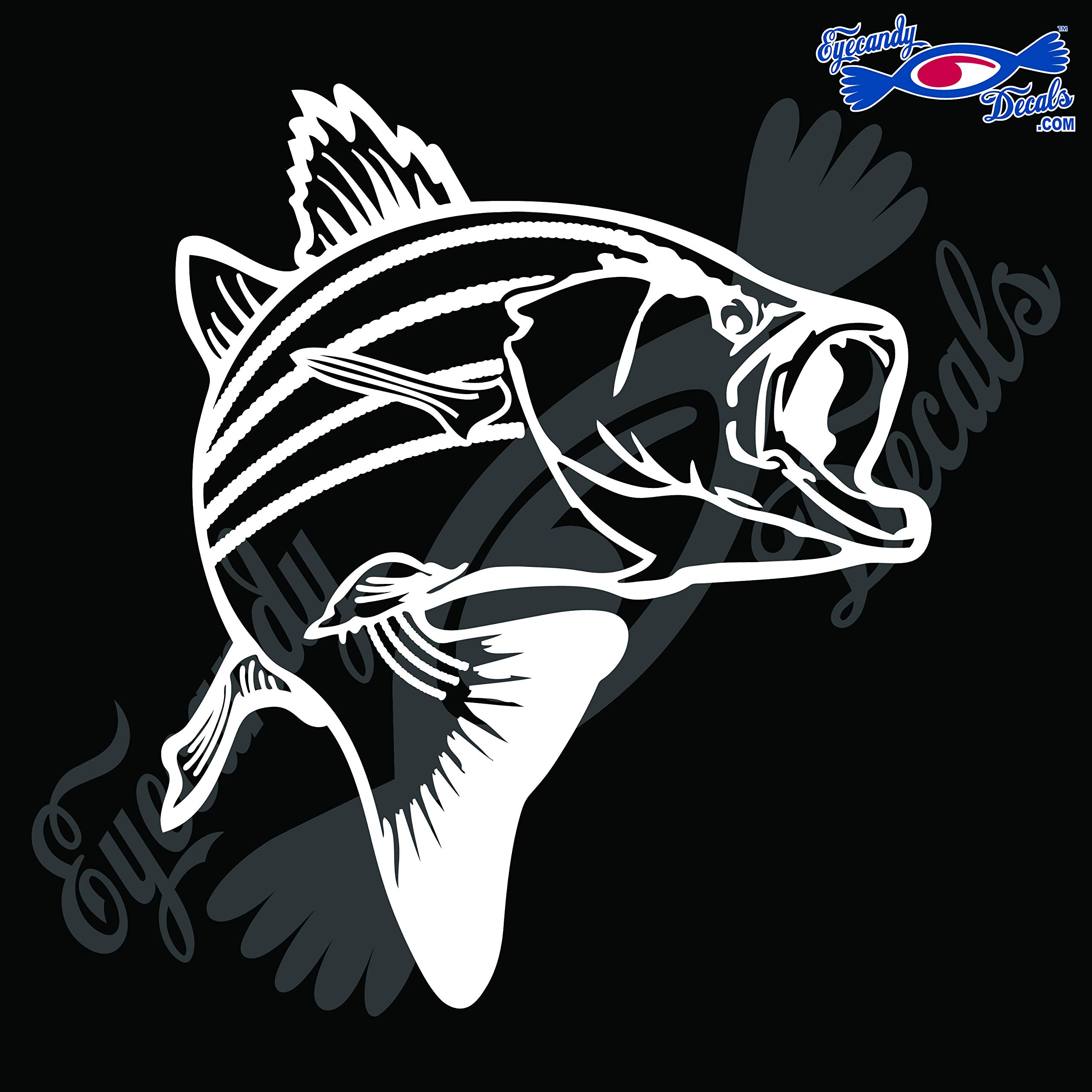 Amazon.com: STRIPER FISH 6" decal sticker WHITE : Automotive