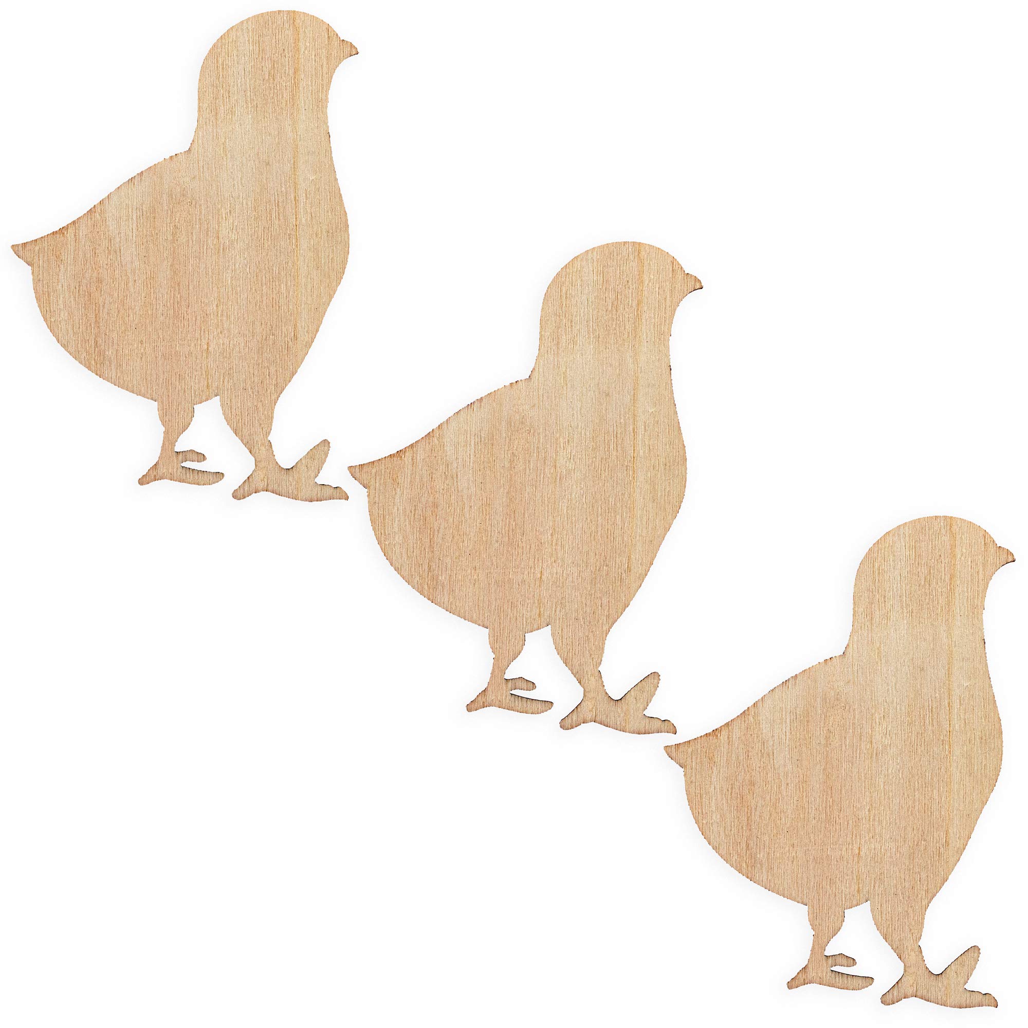 Amazon.com: 3 Chicks Unfinished Wooden Shapes Craft Cutouts DIY ...