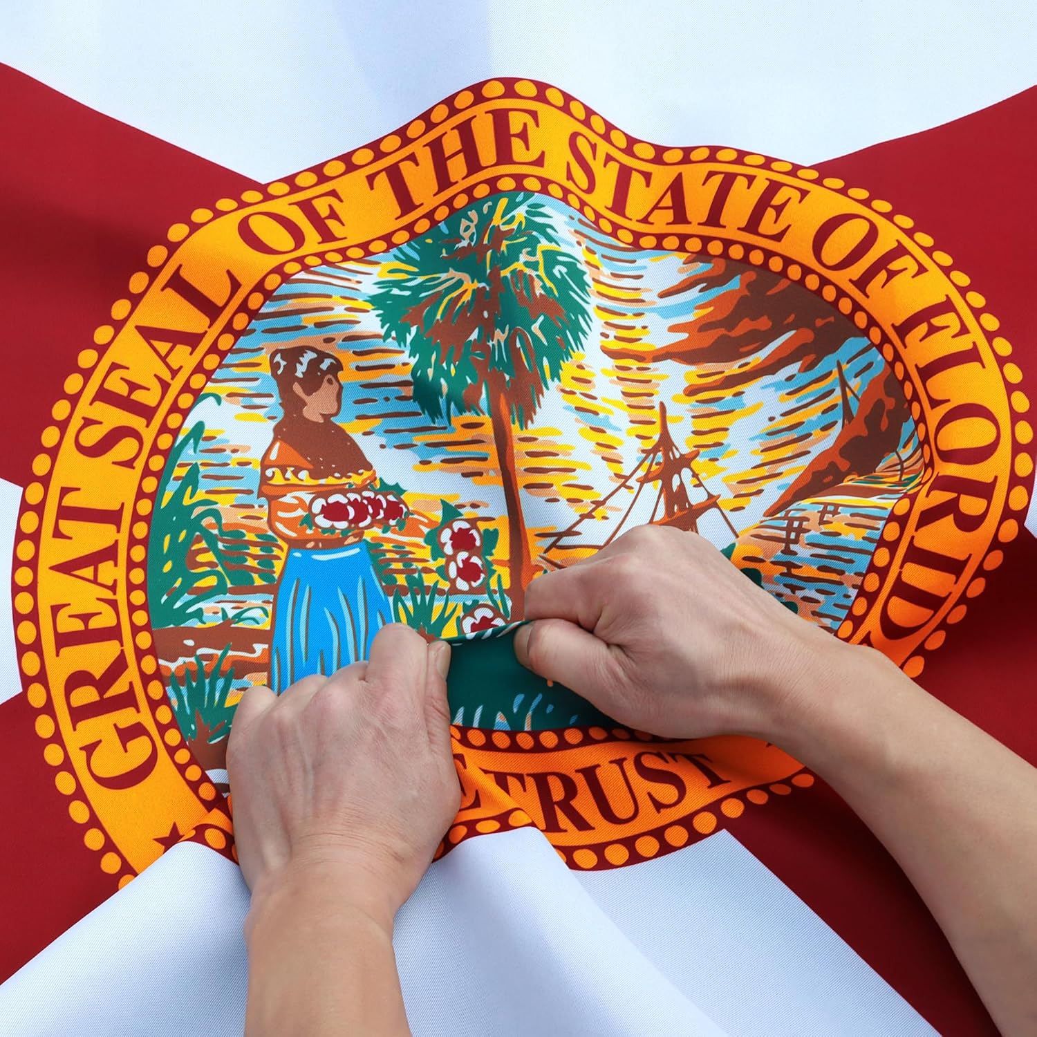 Amazon.com : Anley Rip-Proof Double Sided 3-Ply Florida State Flag 3x5 ...