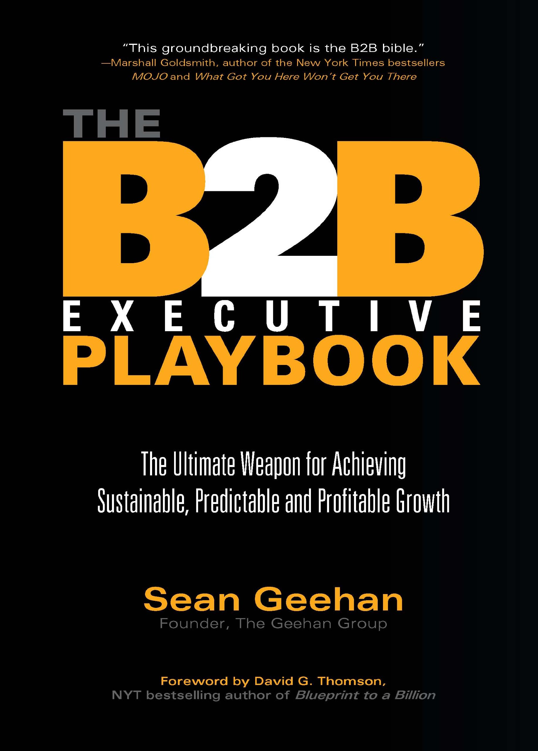 B2B Executive Playbook: The Ultimate Weapon for Achieving Sustainable ...