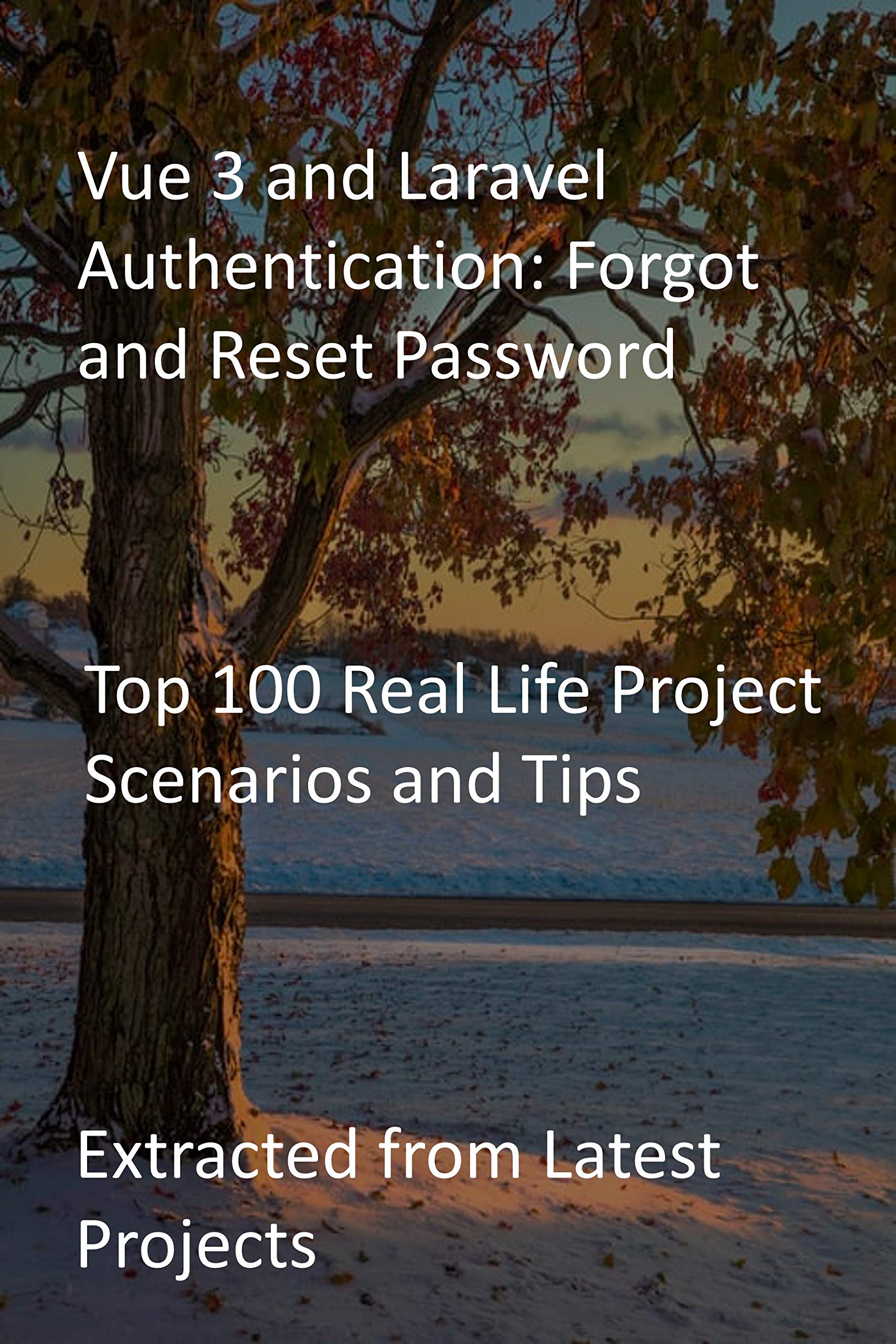 Buy Vue 3 and Laravel Authentication: Forgot and Reset Pas: Top 100 Real Life Project Scenarios ...