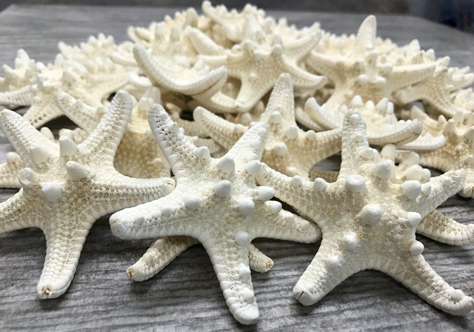 Amazon.com: Jangostor 48 PCS Starfish, Mixed Starfish 1" to 2" and 2 ...