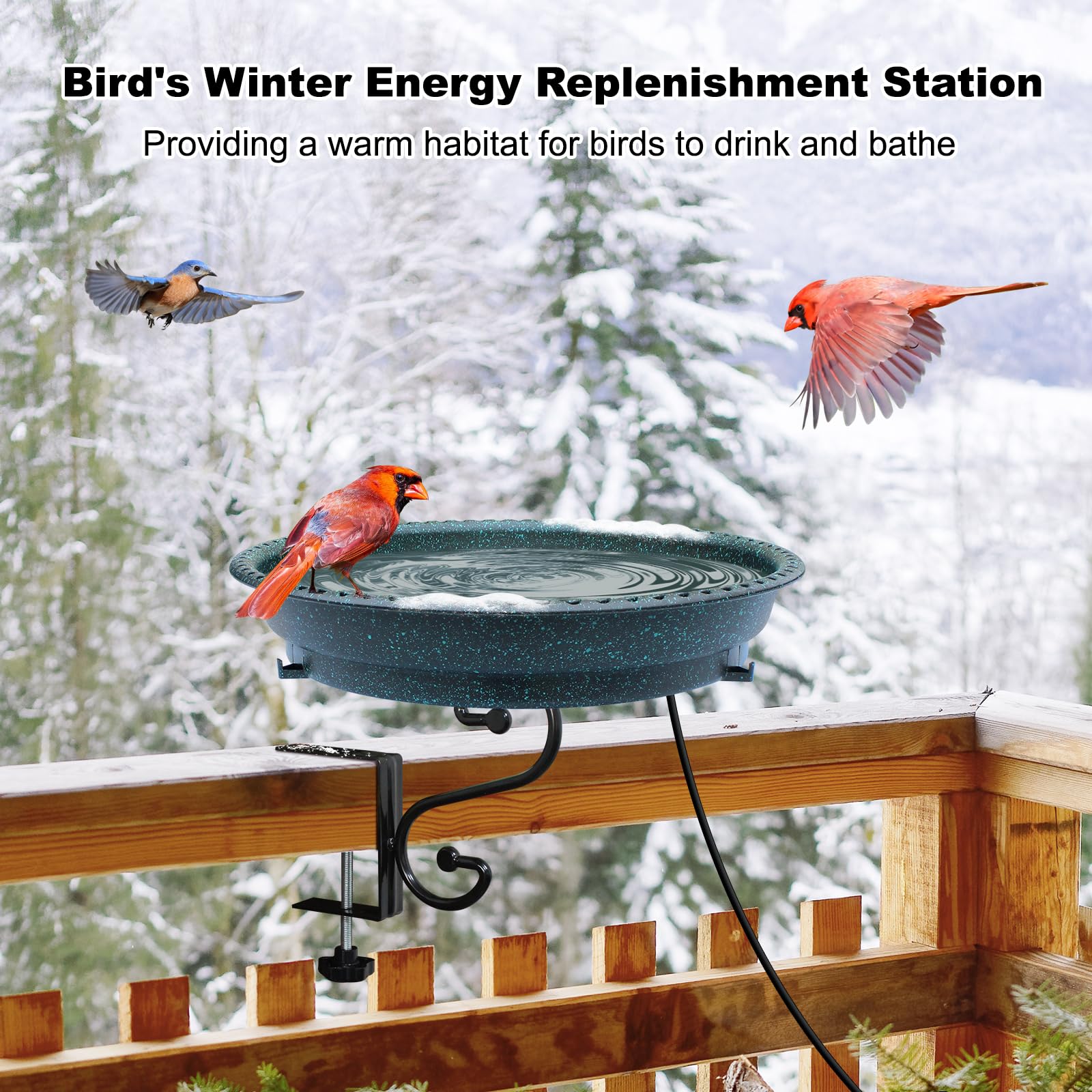 Snapklik.com : Heated Bird Bath, 75W Thermostatically Controlled ...
