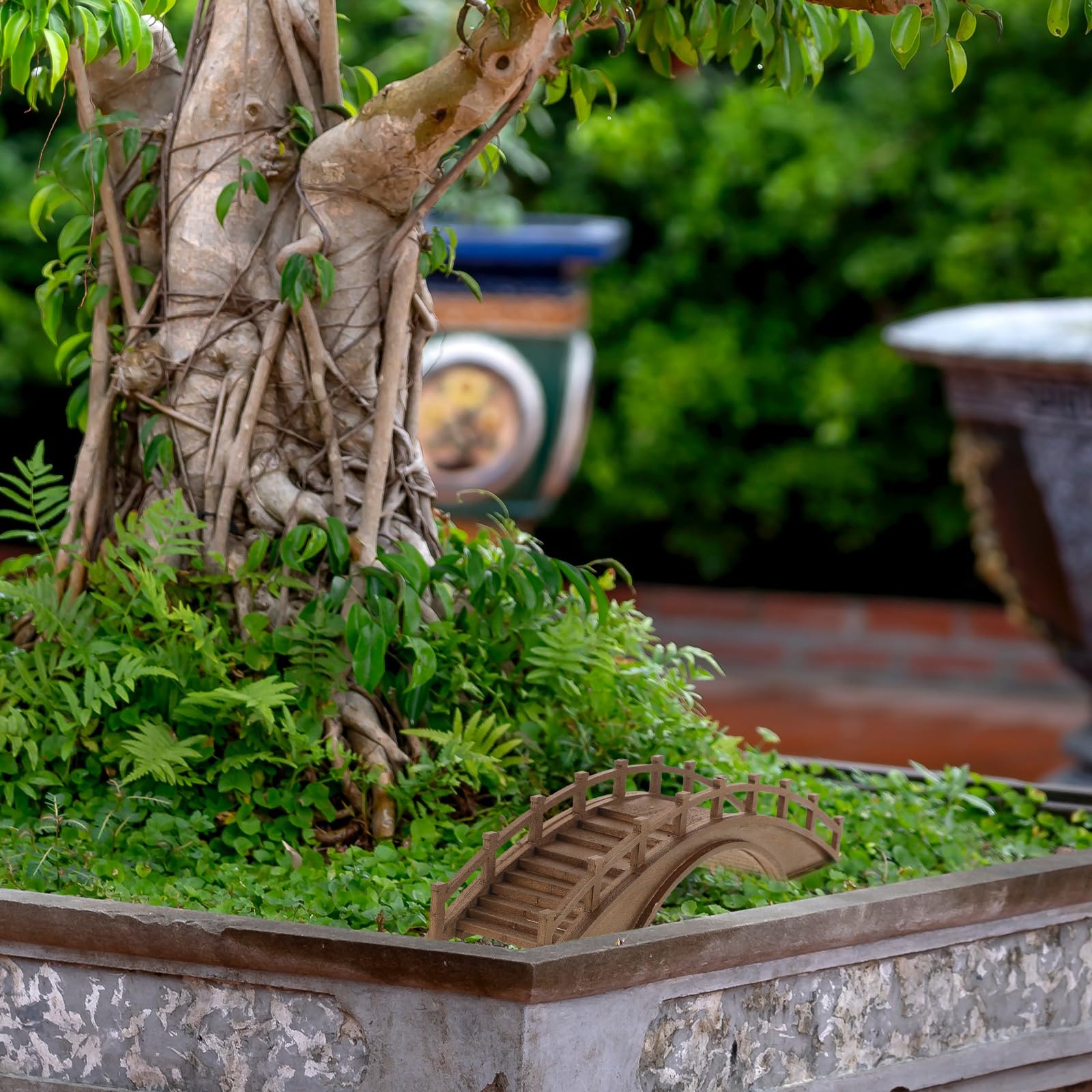 Bridges For Fairy Trees The Fairy Tree Of Chelsea Heights! 🧚🌳
