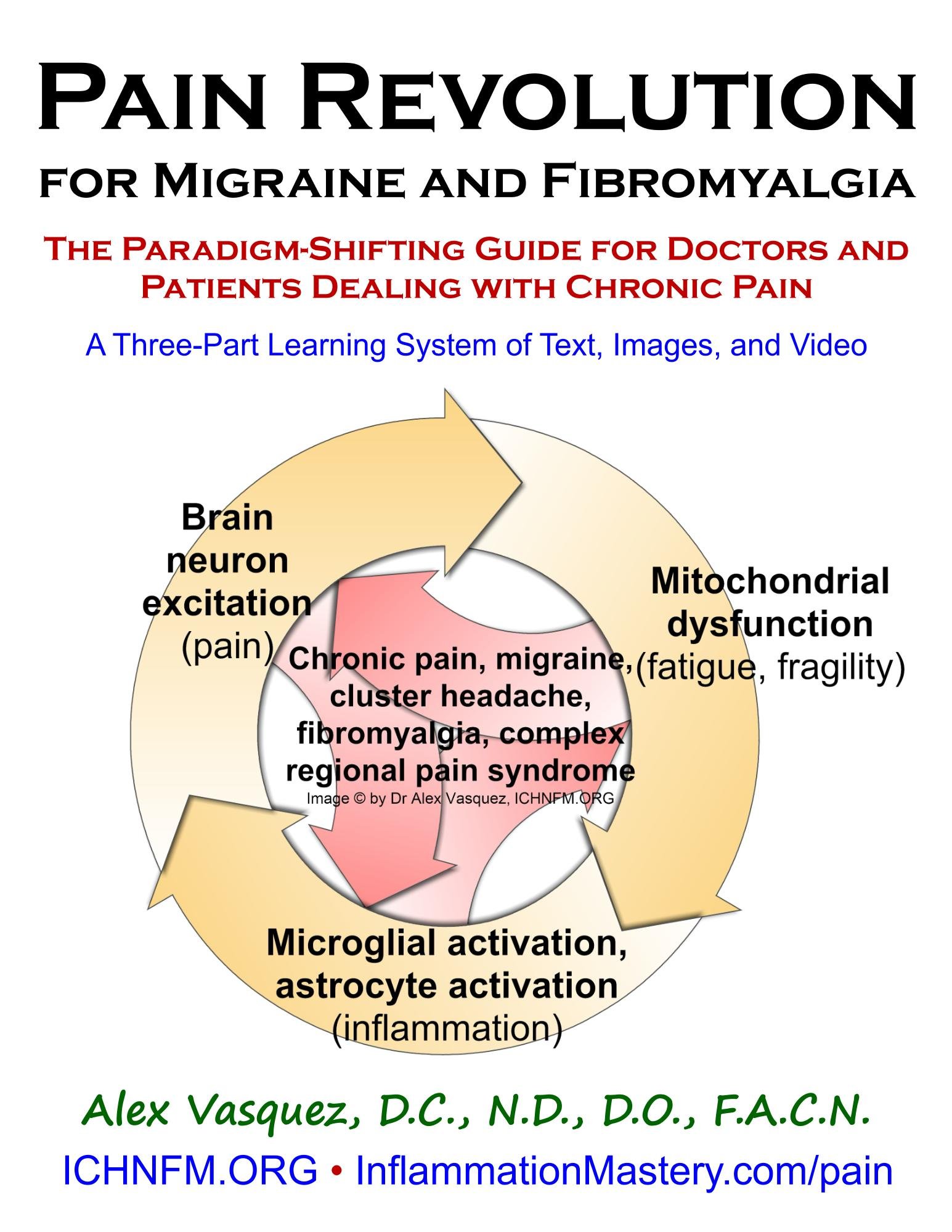 Buy Pain Revolution for Migraine and Fibromyalgia: The Paradigm ...