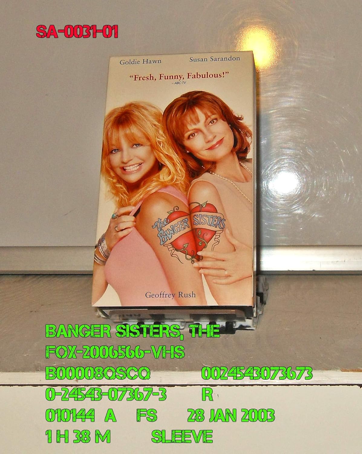 Amazon.com: The Banger Sisters [VHS] : Susan Sarandon, Goldie Hawn ...