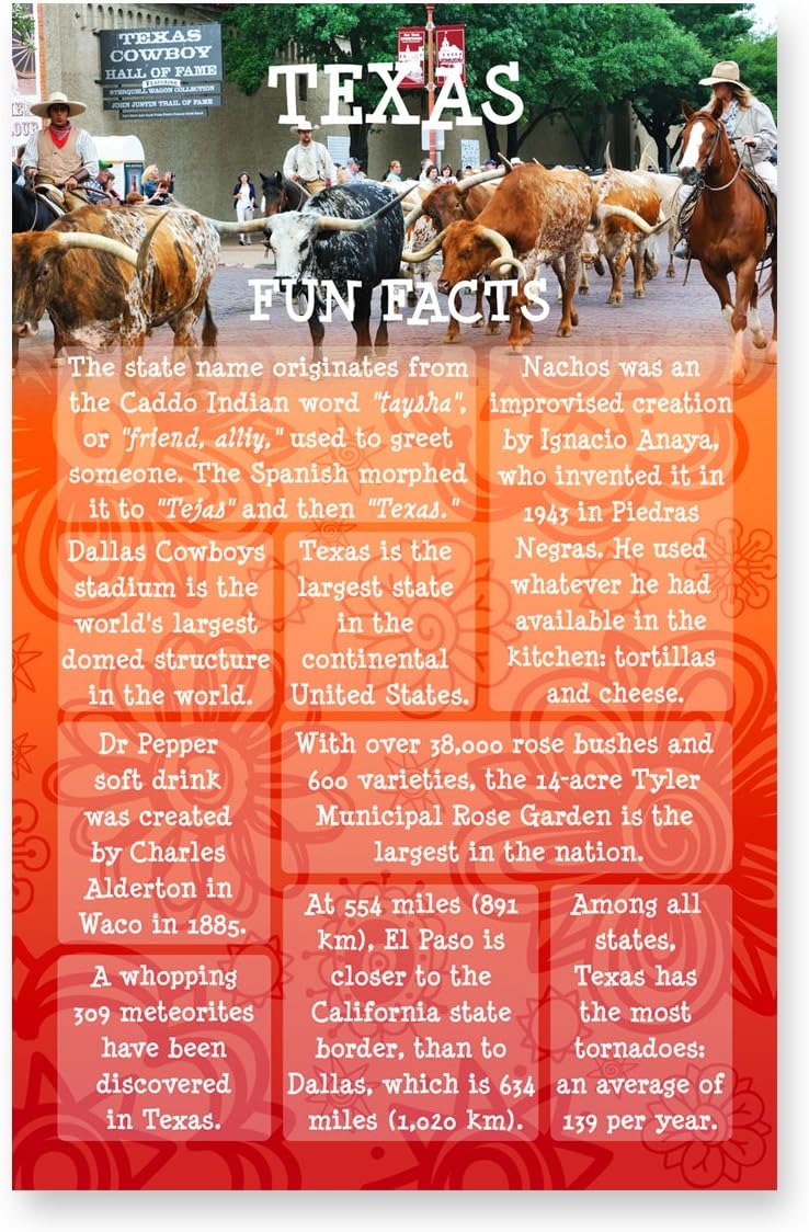 Amazon.com : TEXAS FUN FACTS postcard set of 20 identical postcards. US ...
