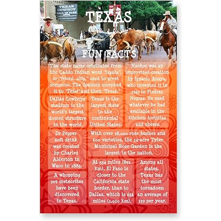 Amazon.com : TEXAS MAP postcard set of 20 identical postcards. TX state ...