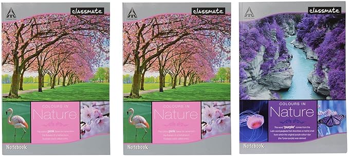 ITC Classmate Ruled Long Notebook, 21 x 29.7 cm (Set of 3) : Amazon.in ...