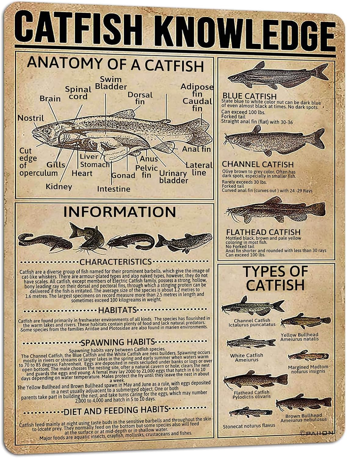 Amazon.com: Metal Tin Sign Catfish Knowledge Tin Sign Vintage Art Wall ...