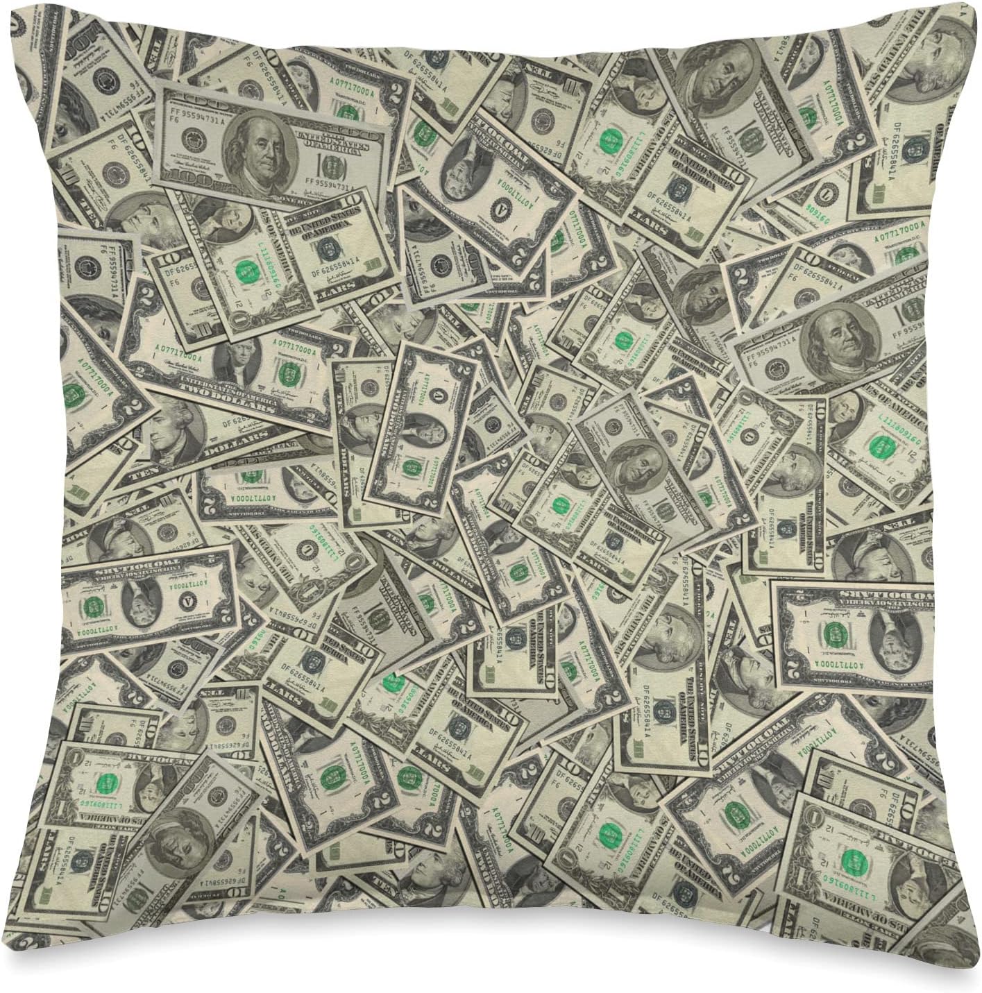 Amazon.com: All Dollar Bills in One Throw Pillow : Home & Kitchen